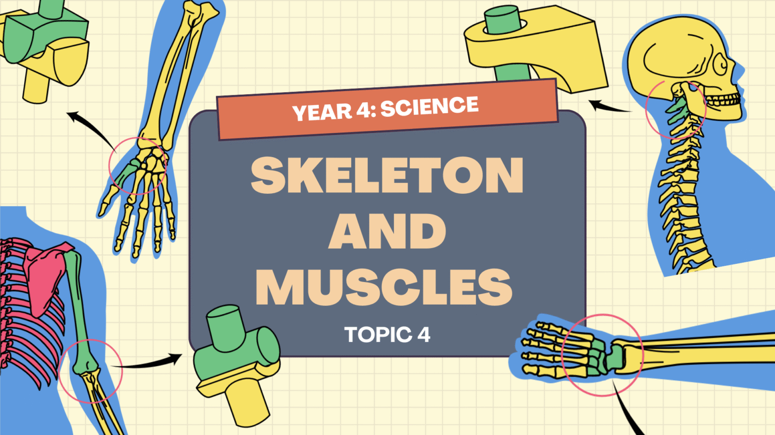 Year 4 Science – mpalms.com